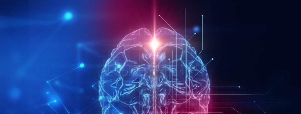 Learning-Mindsets: Your brain is malleable!: Malleable | Open Essex